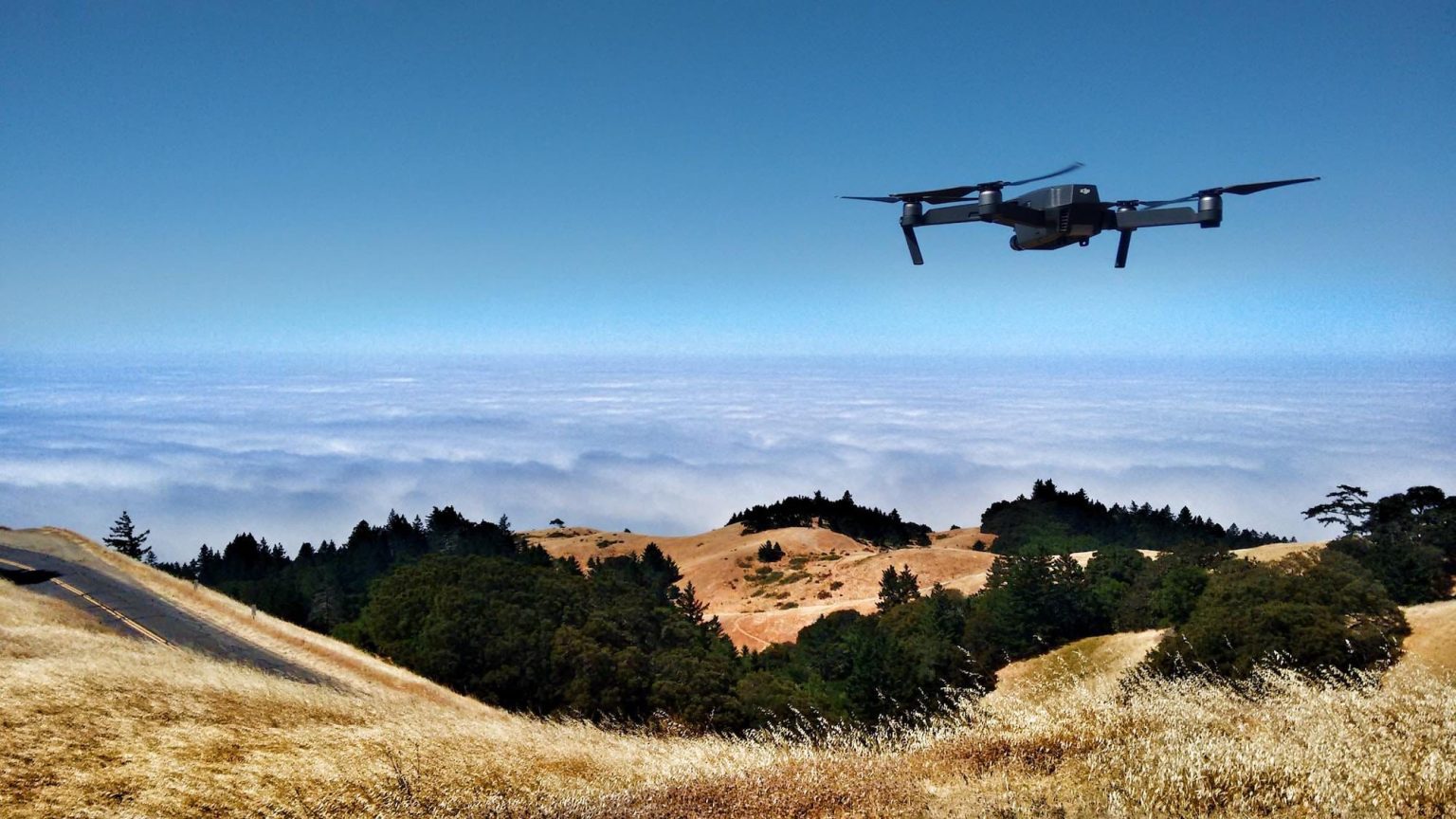 Drones And Machine Learning To Detect Dangerous 'butterfly' Landmines