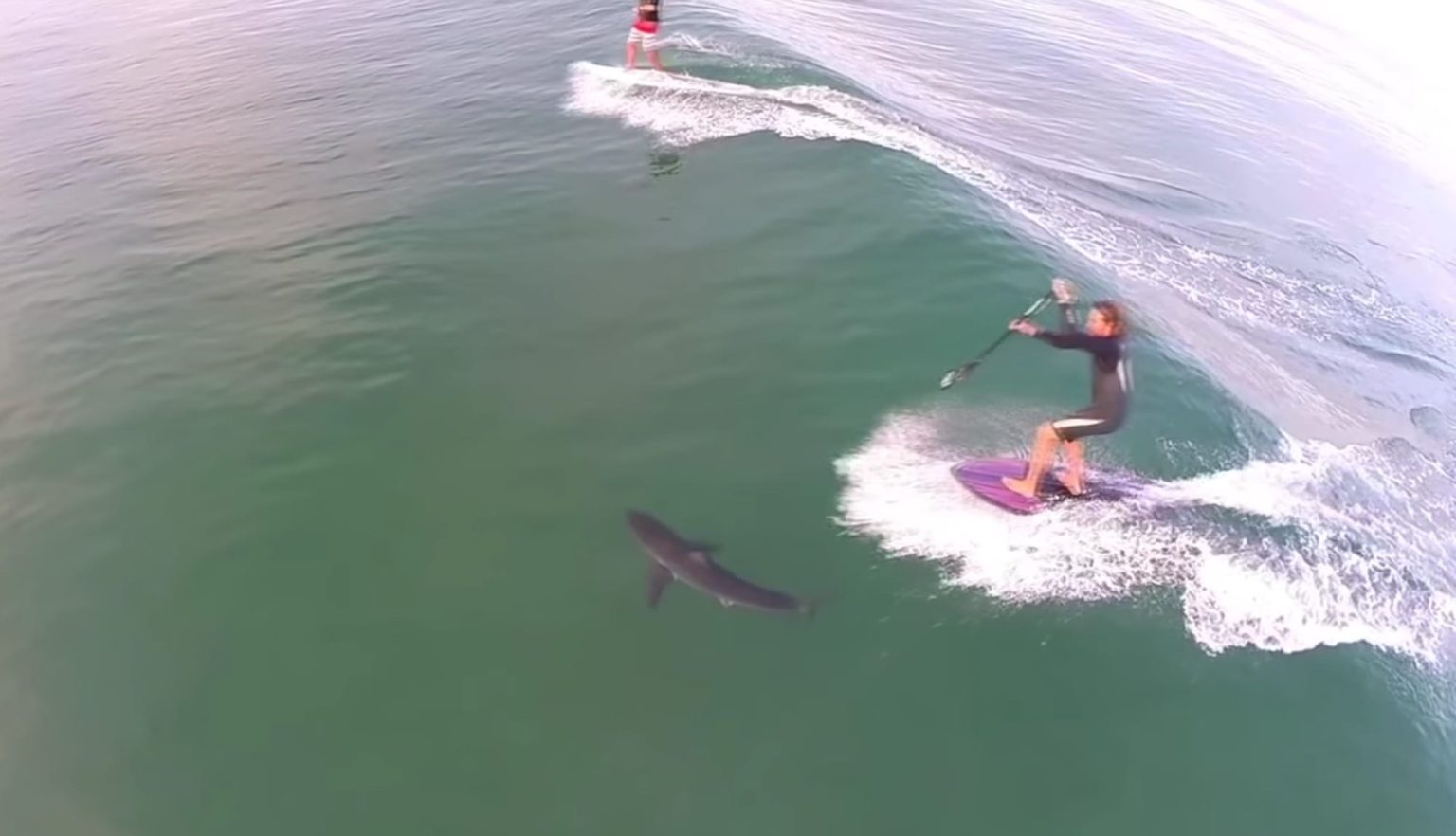 DOI Drone Order Creates Confusion For Cape Cod Shark Researchers