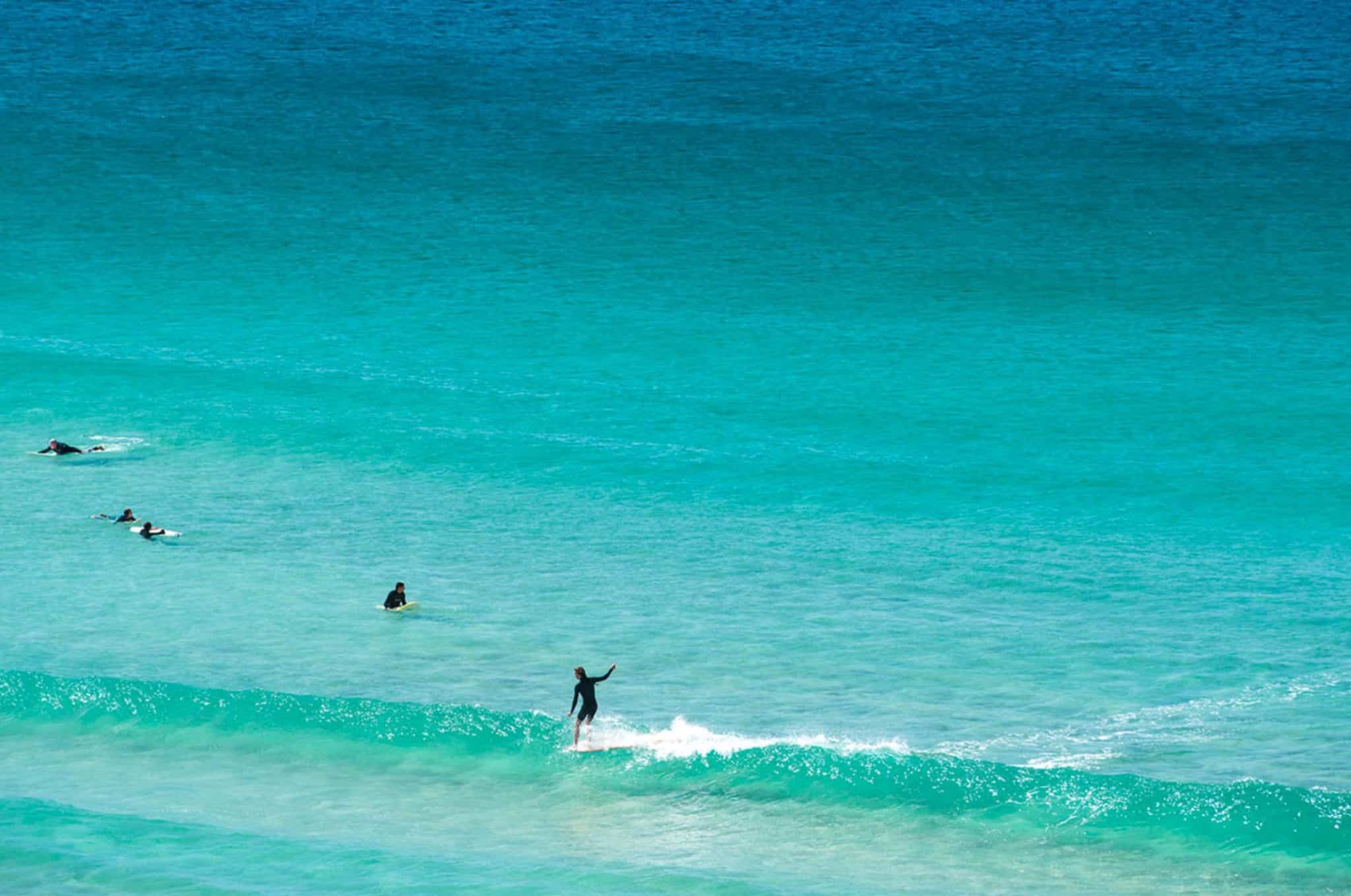 Drone Spots Great White Shark Off Bondi Beach In Sydney, Australia
