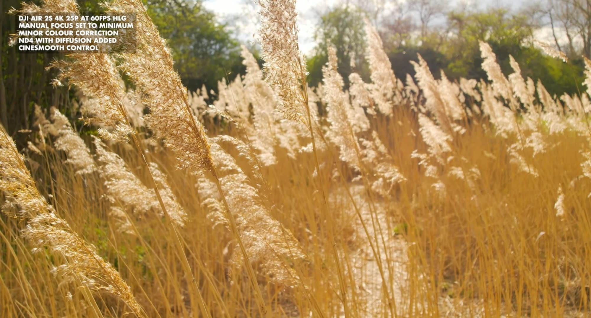 Is The DJI Air 2S THE ONE Flying Camera For Philip Bloom? – DroneXL.co