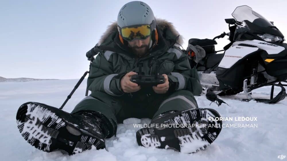 The Arctic's Voice: Florian Ledoux's Drone Photography