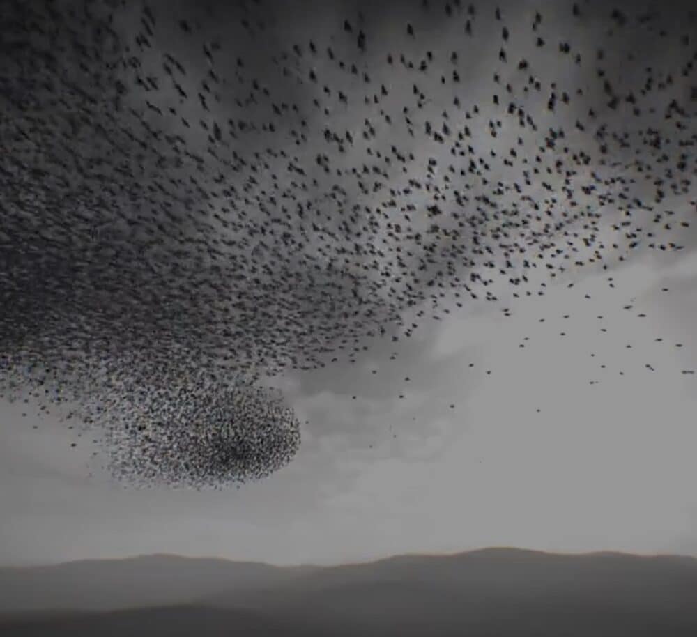 Swarm Aero Selects Arkansas For Manufacturing Of Drones Swarm Aero Selects Arkansas For Manufacturing Of Drones
