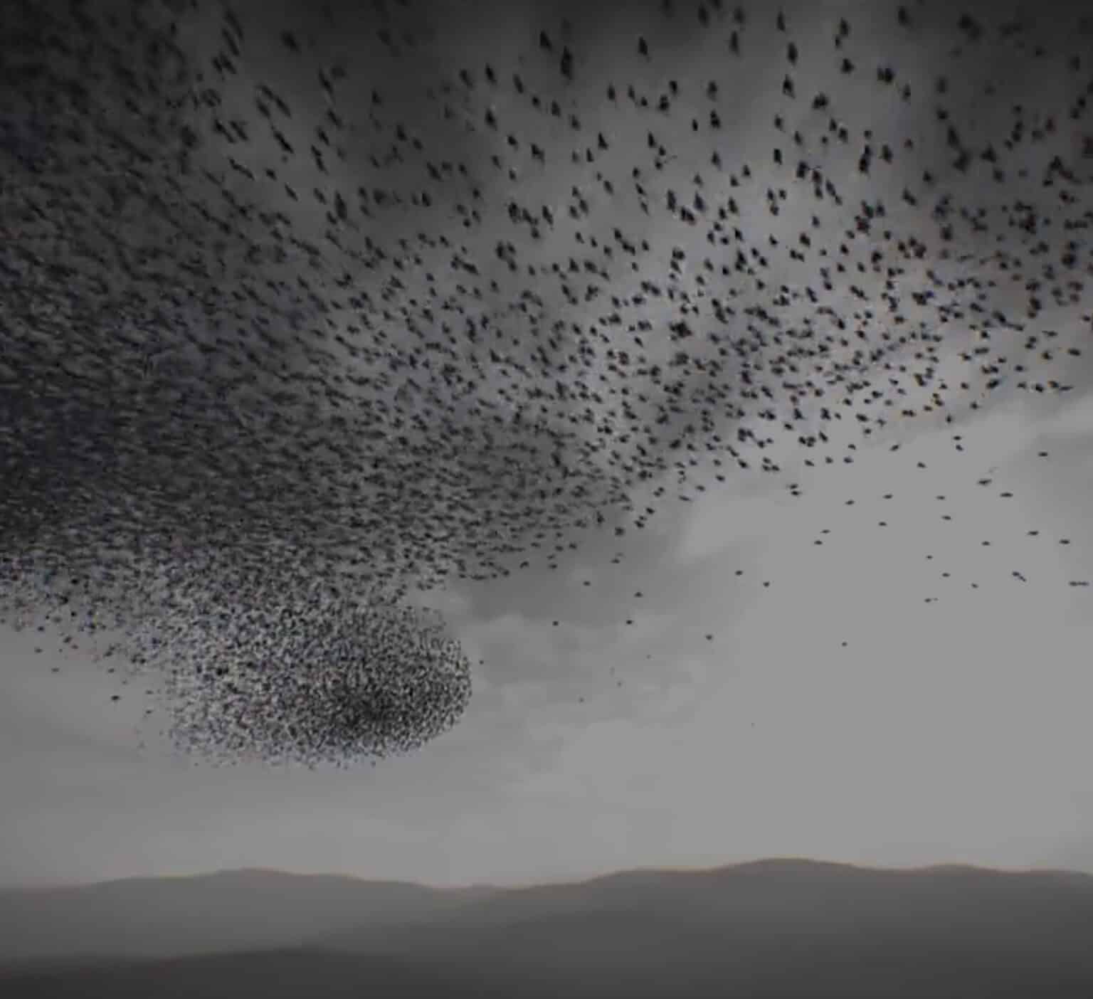China Claims A Drone Swarm That Hunts Through Jamming