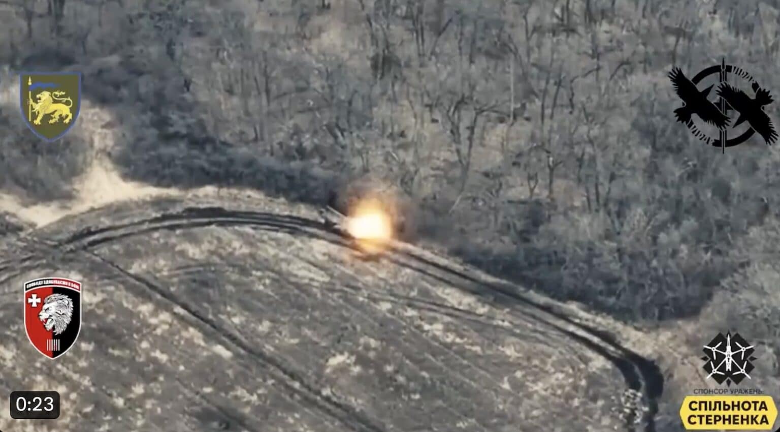 Autonomous Combat: Ukraine's Leap Into Terminator Drones