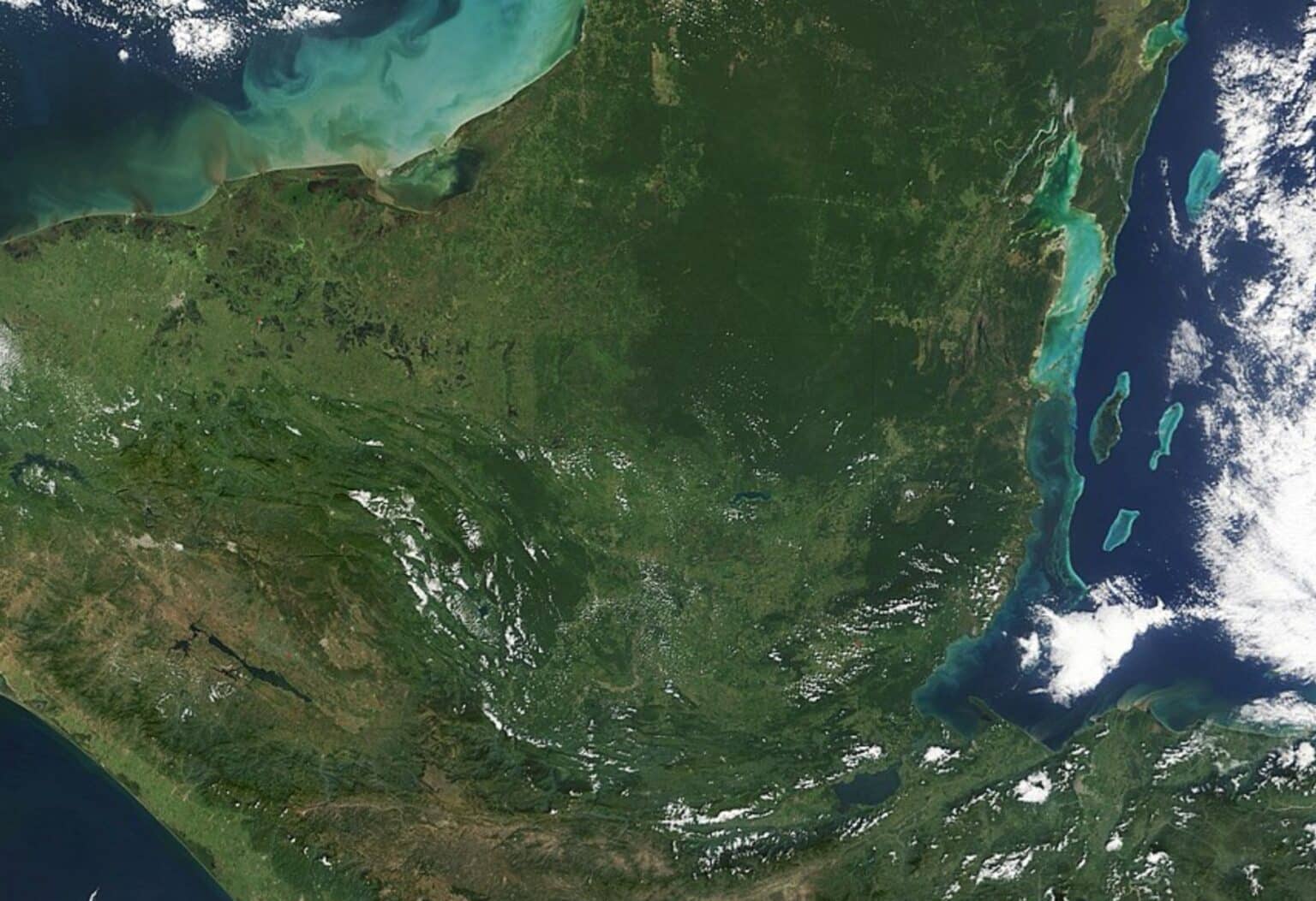 Ancient Fish-Trapping Canals Discovered By Drone Archaeology In Belize