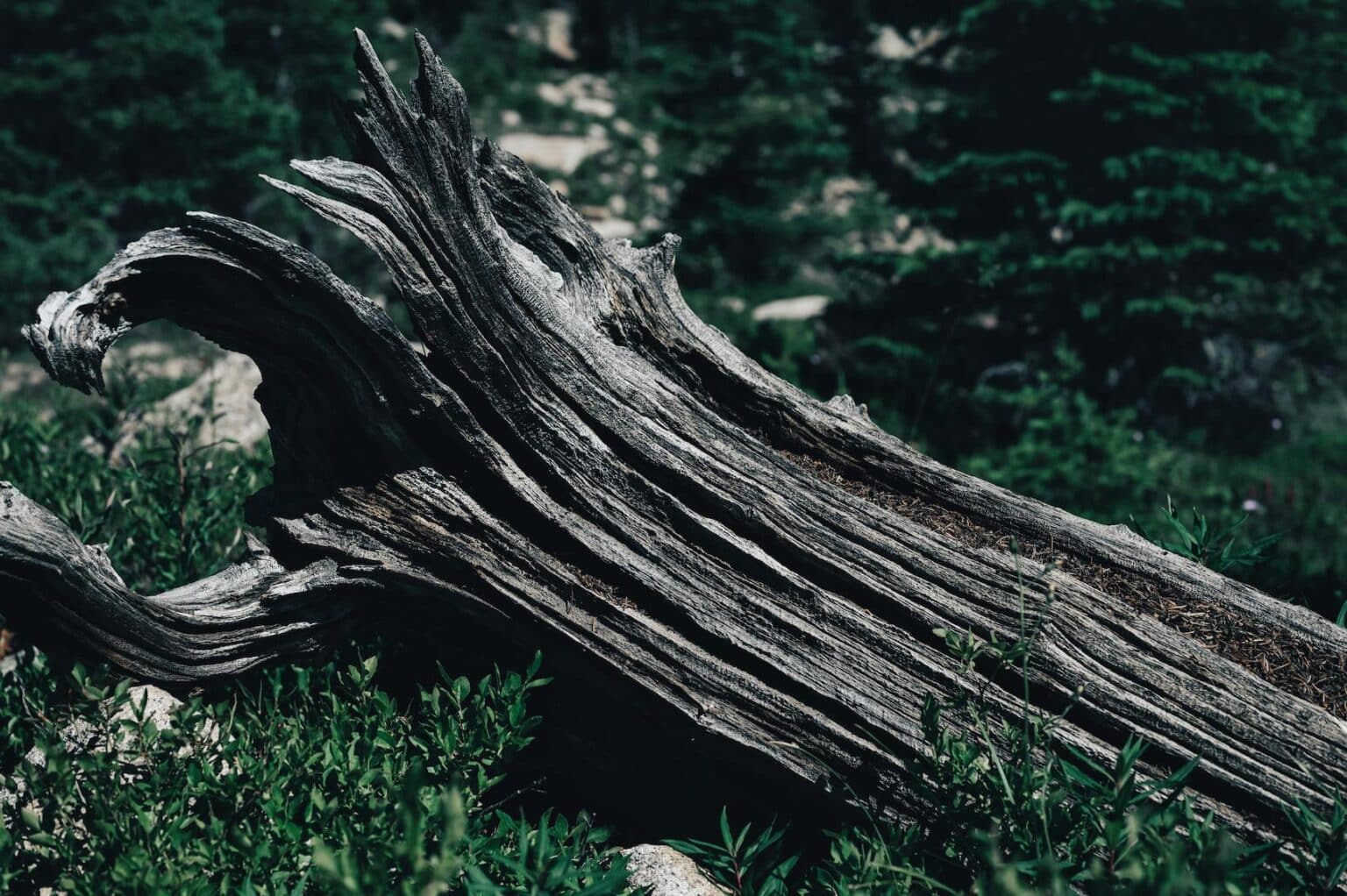 DJI Drone D-Log Guide: 3 Reasons To Use This Color Profile