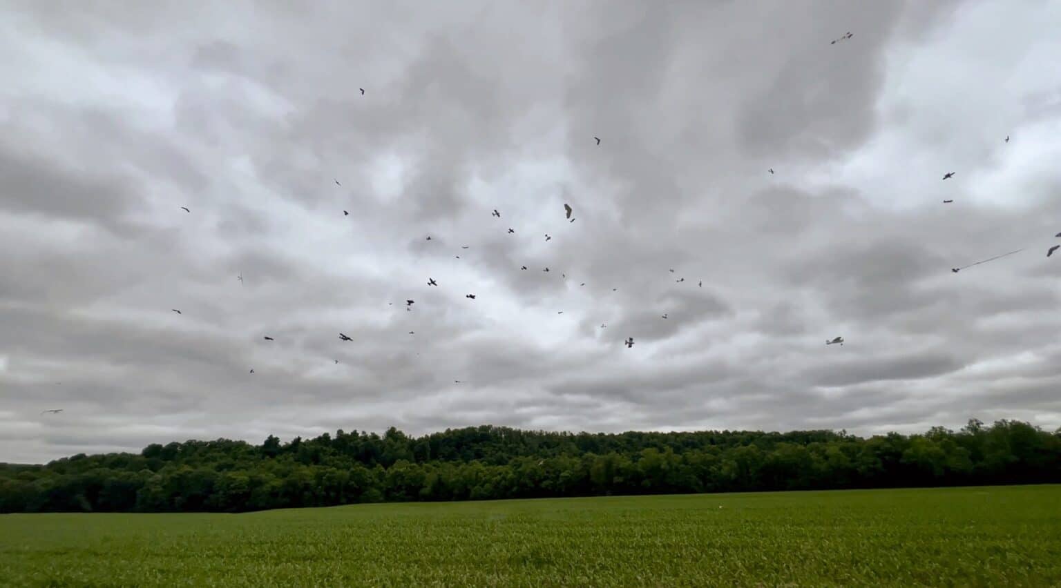 Drone CEO Warns Of Escalating Airspace Risks, Calls For Urgent Reforms