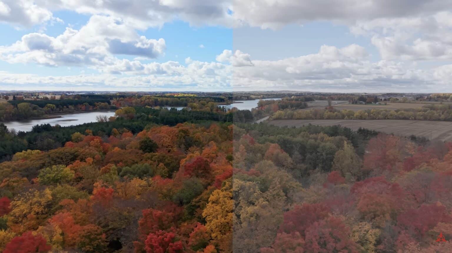 DJI Mini 5 Pro DLOG M Color Recovery - Easy Color Grading In The DJI ...