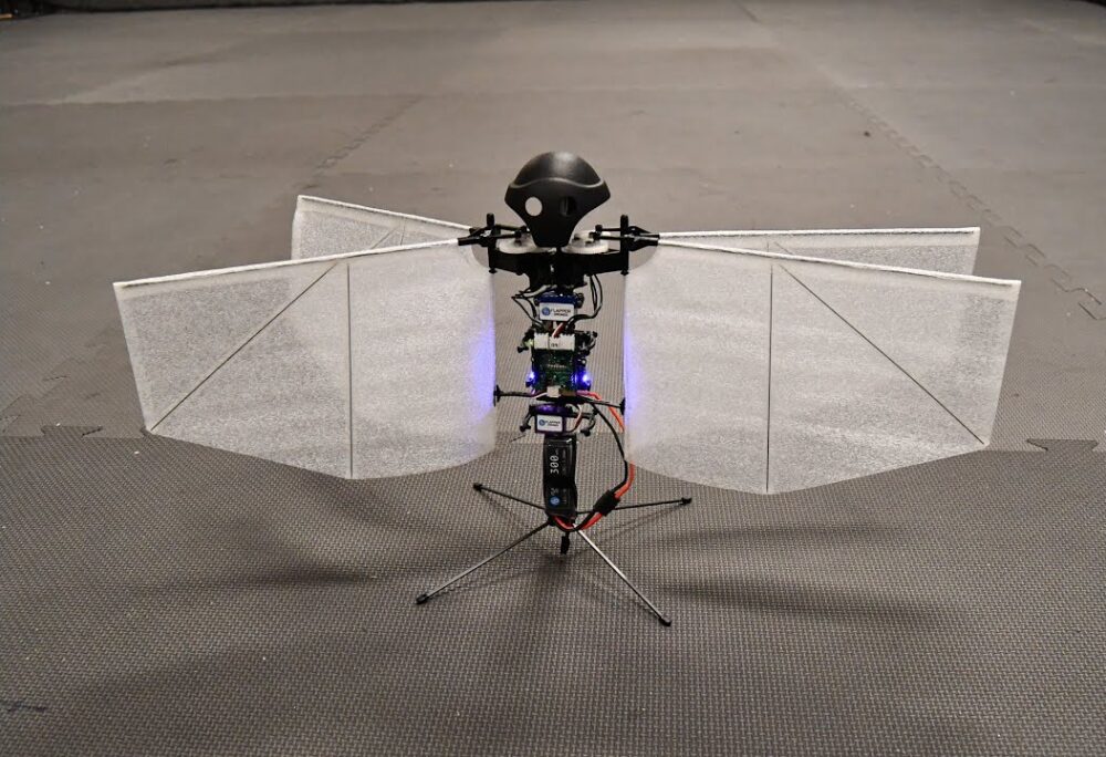 UC Researchers Build Moth-Like Drone That Hovers Without AI Or GPS