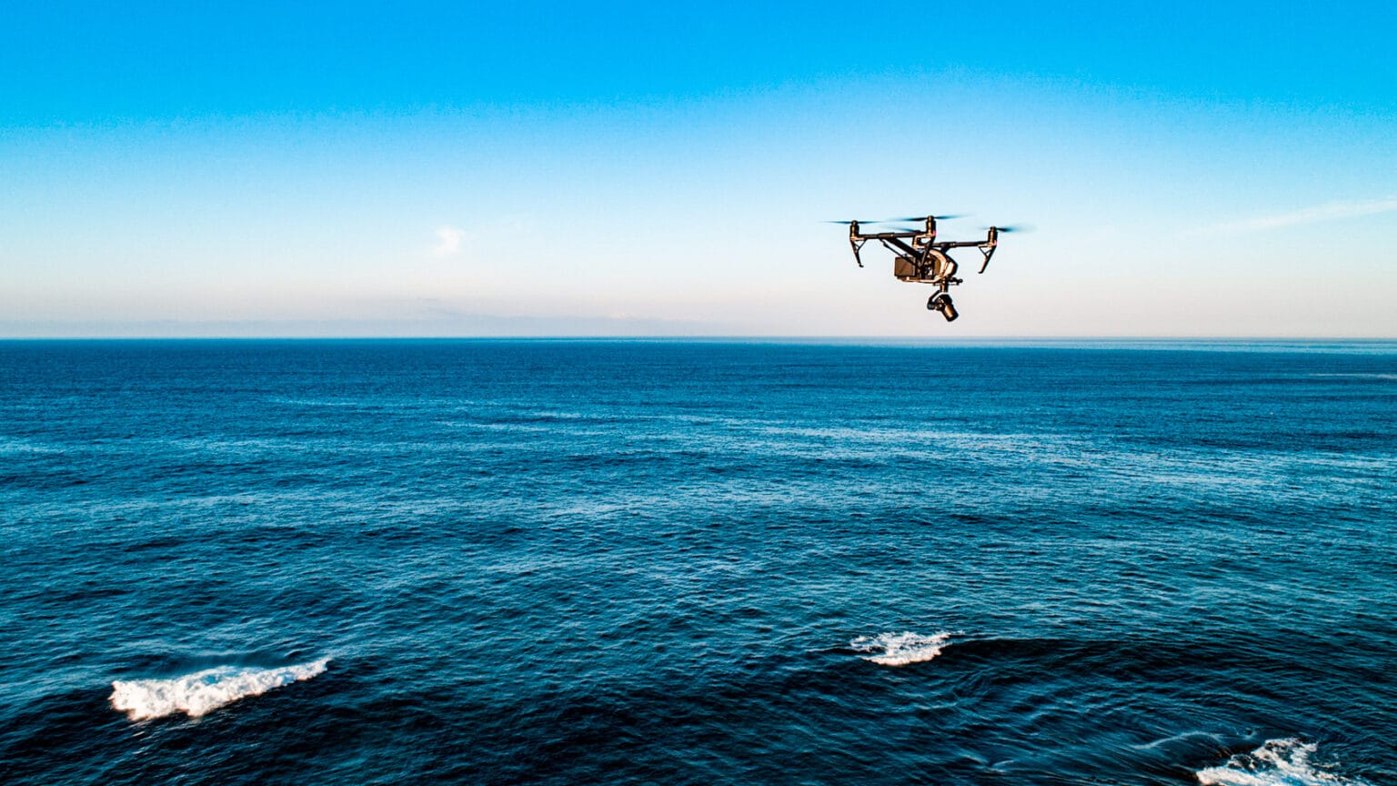 DJI Drones Catch Orcas Hunting Great Whites In Mexico