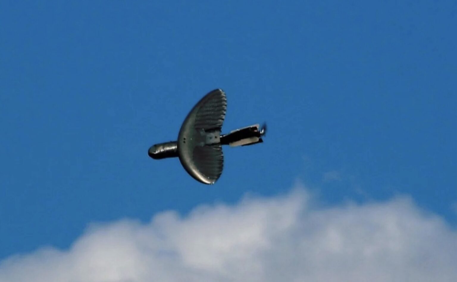 IARPA Wants Drone Engines That Rot: New RFI Targets Bio-Derived ...